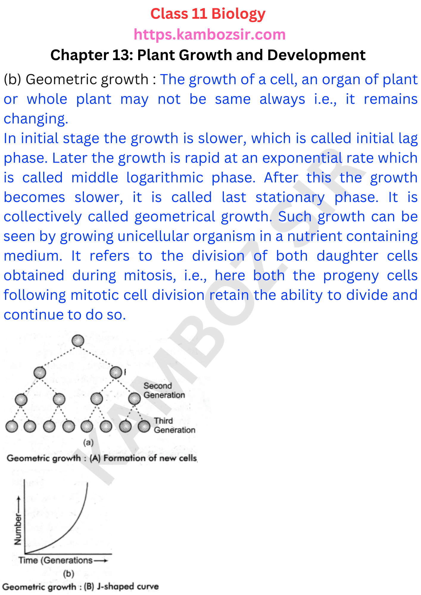 Class 11th Biology Chapter 13 Plant Growth and Development Solution ...