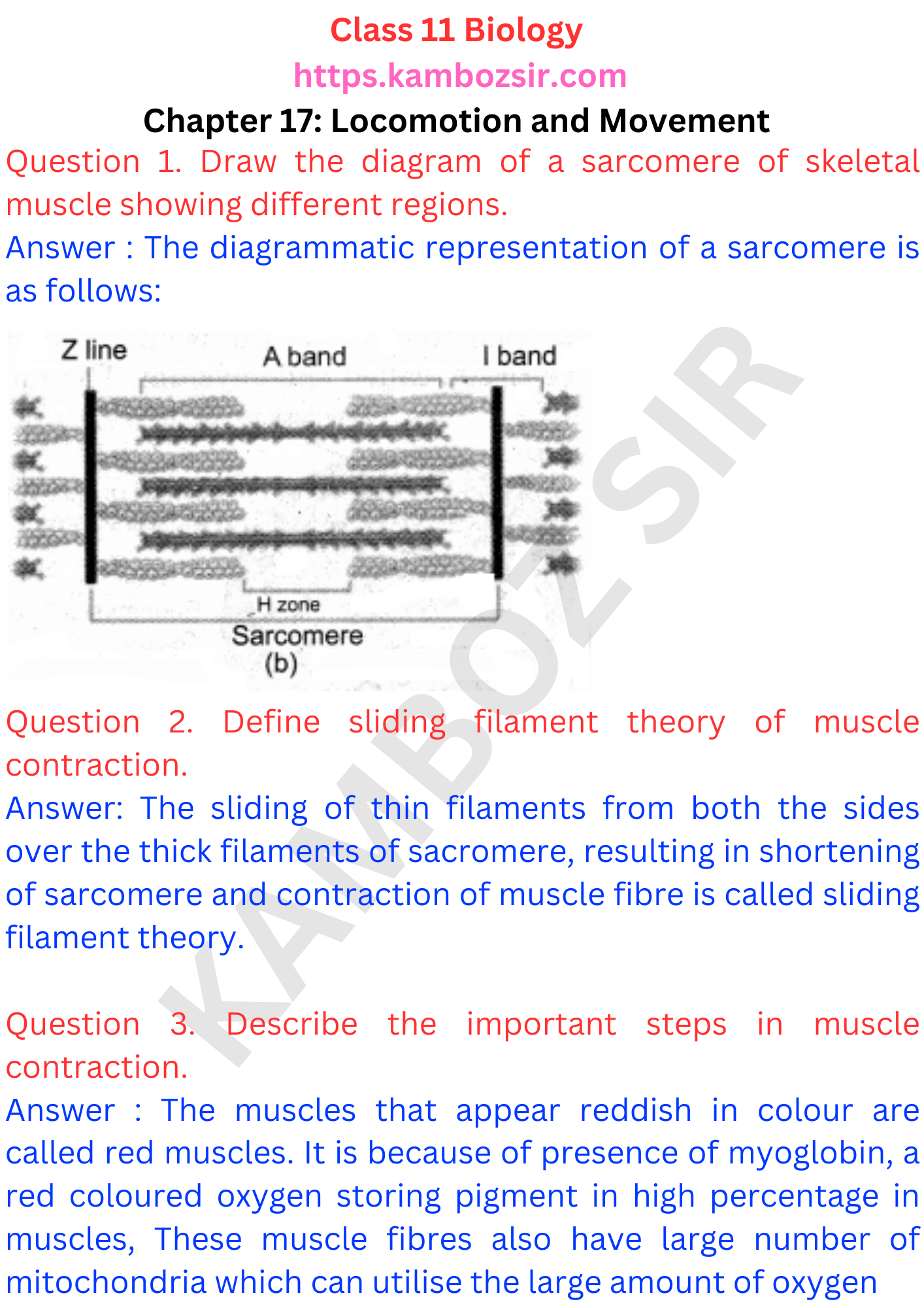 Class 11th Biology Chapter 17 Locomotion and Movement Solution - kamboz sir